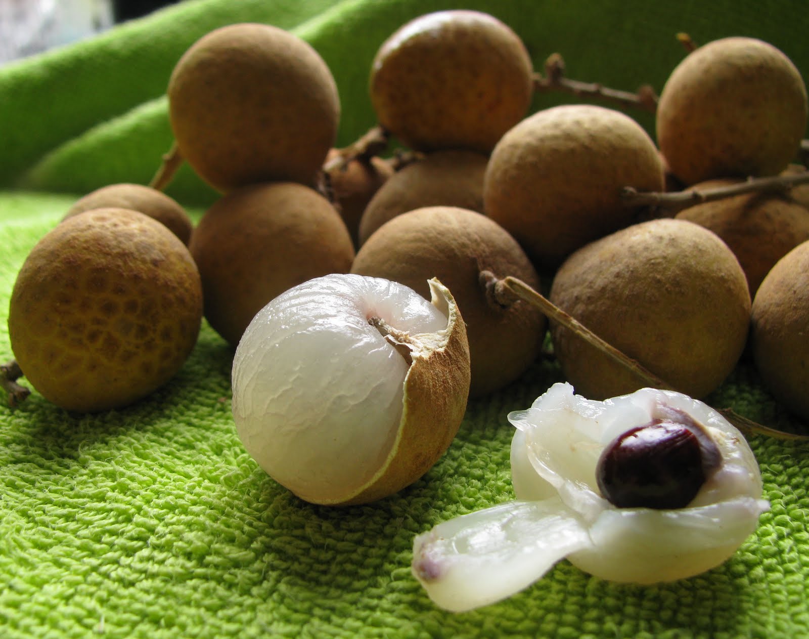 Mangerie?!: Antroe-wadia?