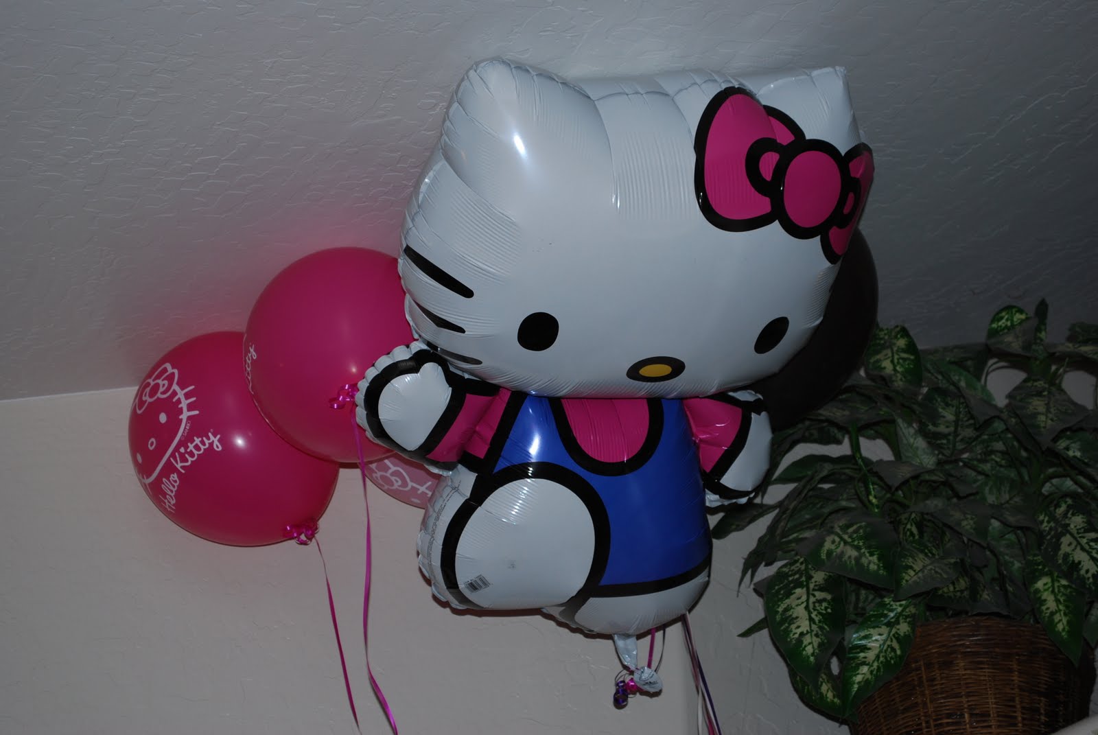 Anderson Adventures: Hello Kitty Extravaganza!