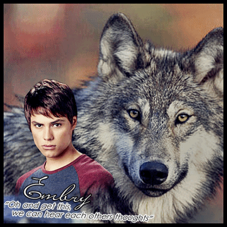 Twilight News Blog: Wallpaper Eclipse Werewolf