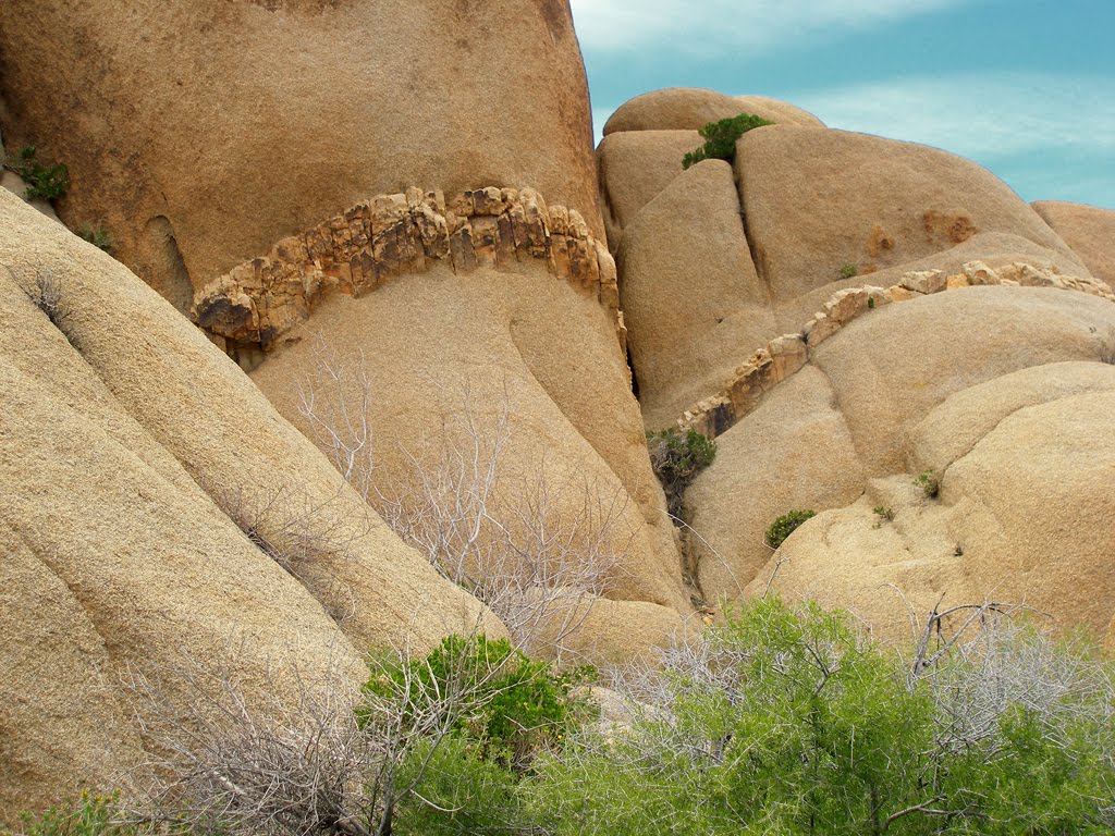 The Four Seasons: Jumbo Rocks - Joshua Tree National Park