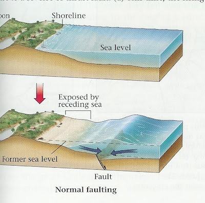 Tsunami Facts