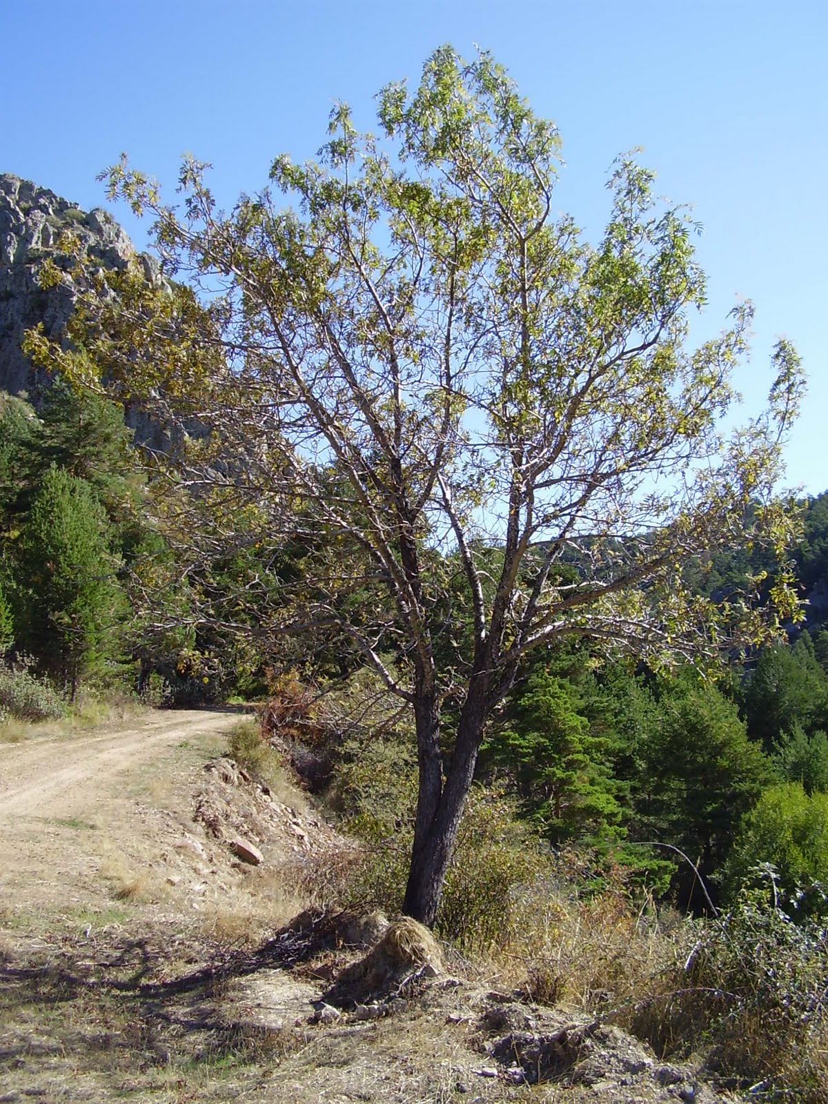 my noguera: junio 2010