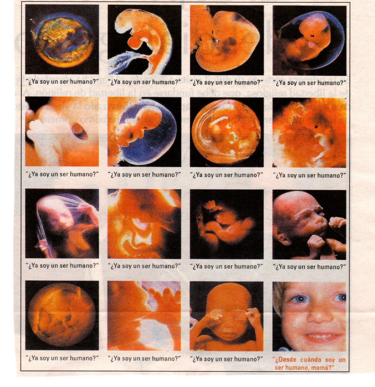 CULTURA DE LA VIDA: 2014