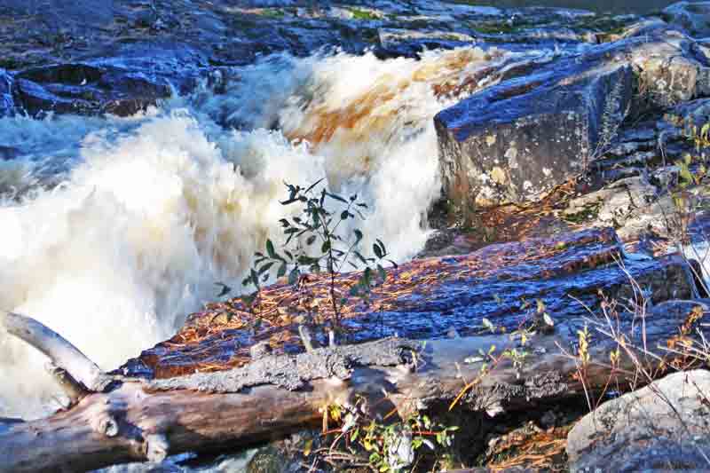 East Gwillimbury CameraGirl: Seguin Falls/ My World