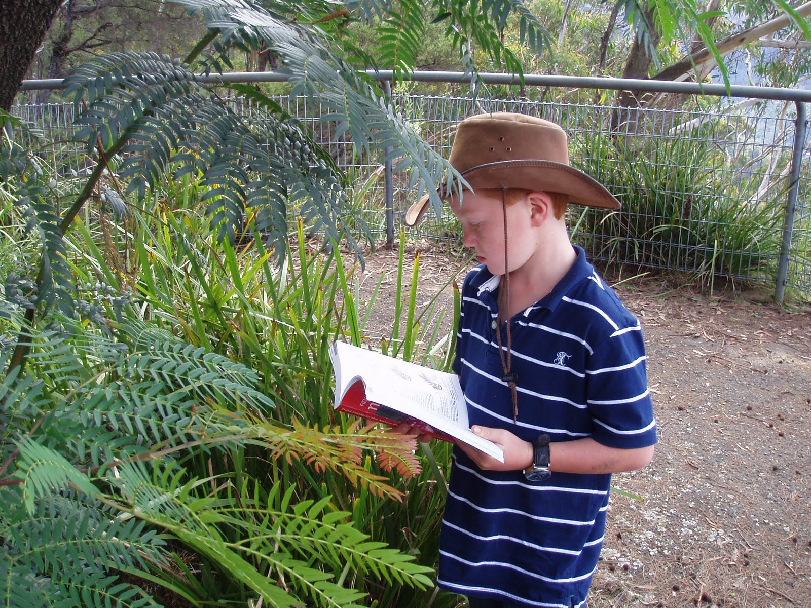 toward sustainability with three kids......: Get Outdoors Challenge ...