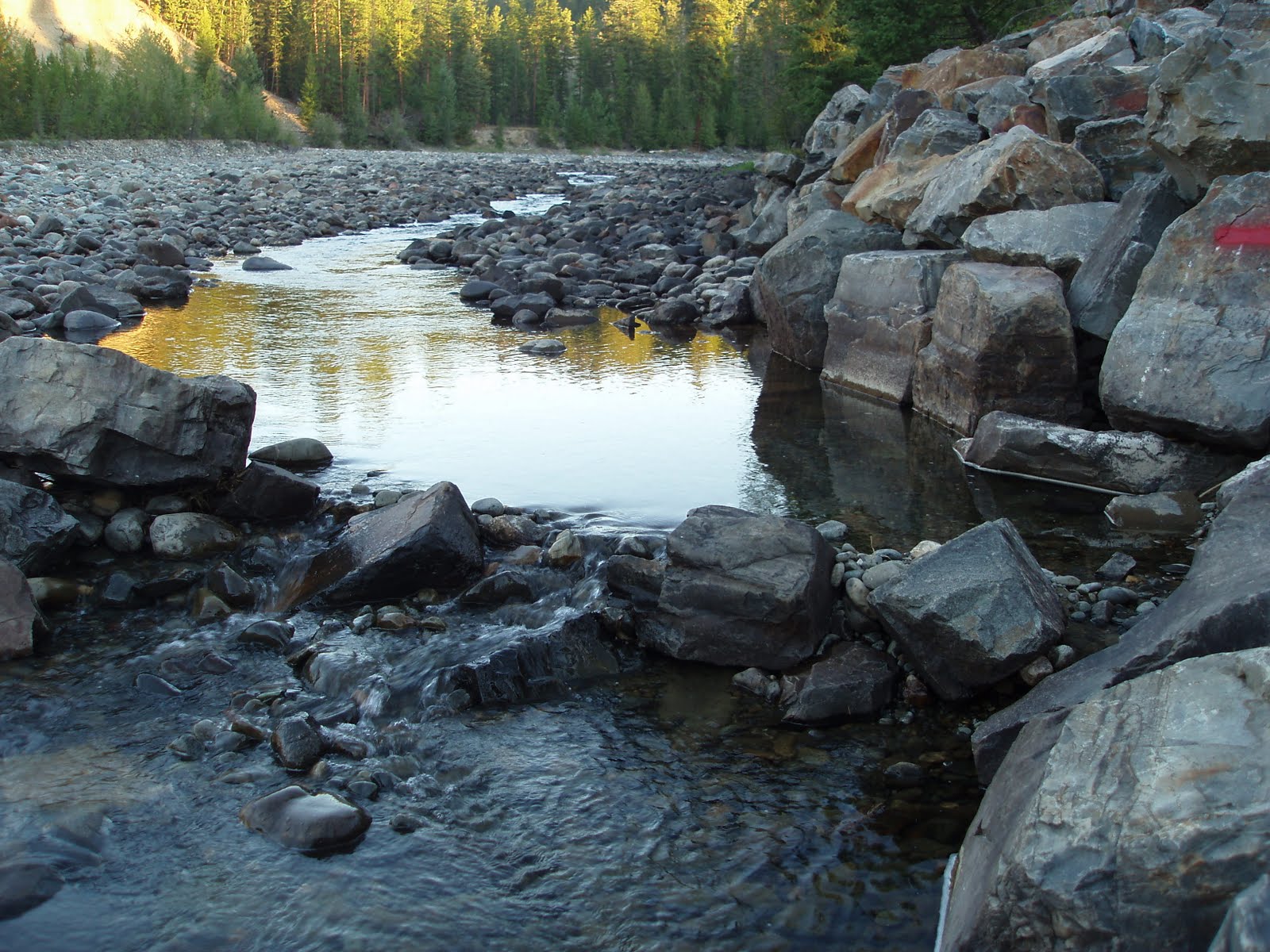 Kimberley Golf Club Outdoor Operations: Tournament Preparation and ...