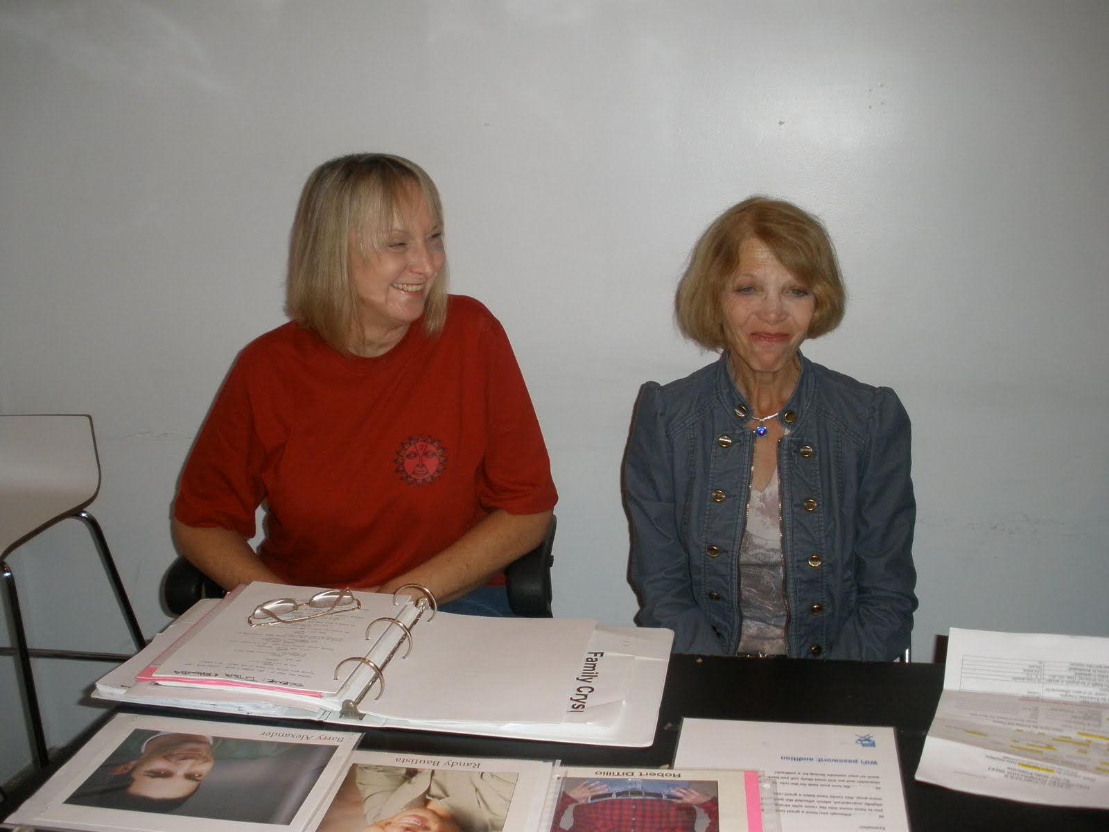 CAT Scratchings: Call Backs for The Family Crystal Web Series