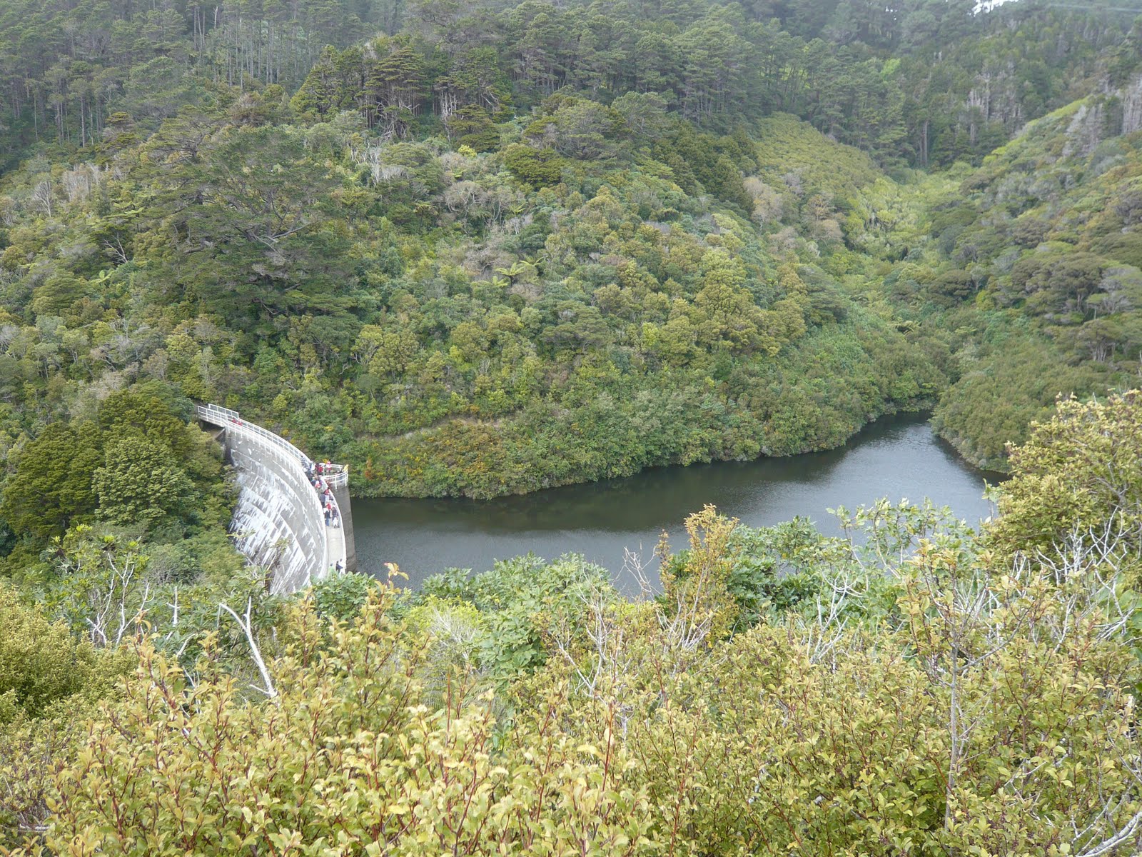 dieweltvonunten: Karori Wildlife Sanctuary/Zealandia