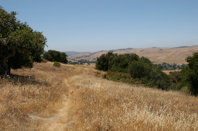 Monterey Hikes: Toro County Park