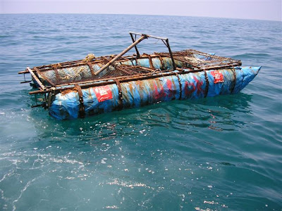 Compass Rose KW: Cuban Rafts in the Gulf Stream