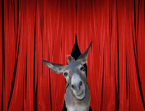 chowmeinsammich: The Donkey Behind the Curtain