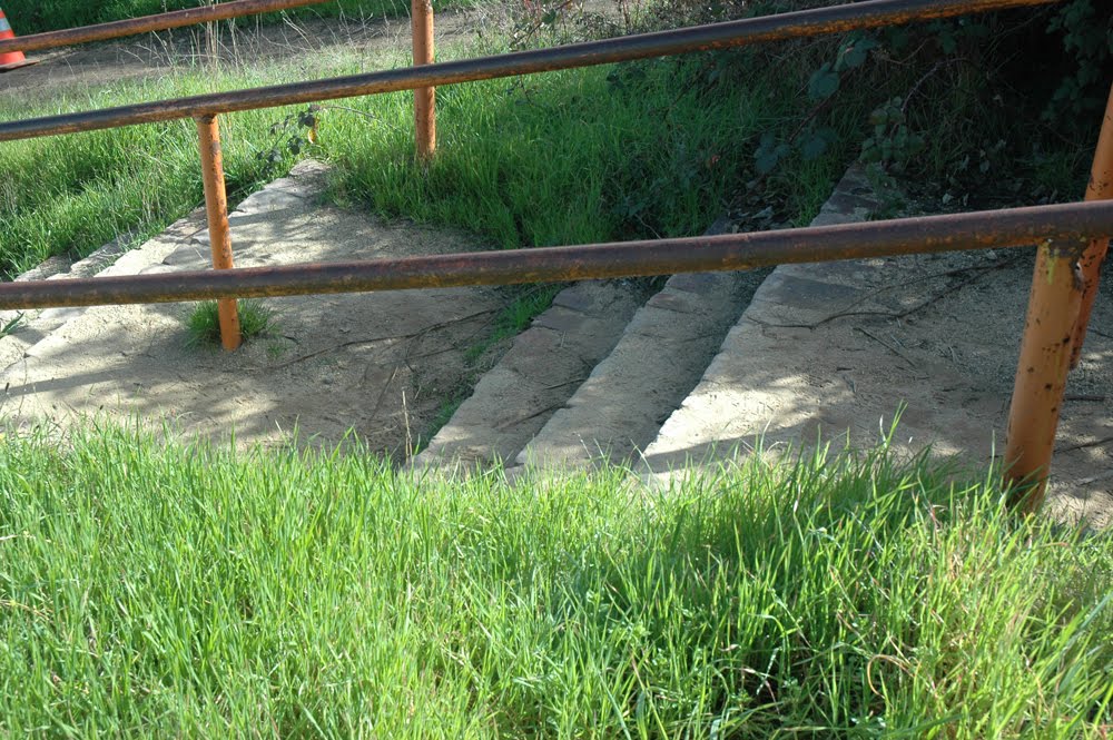 San Andreas Fault: The San Andreas Fault Line