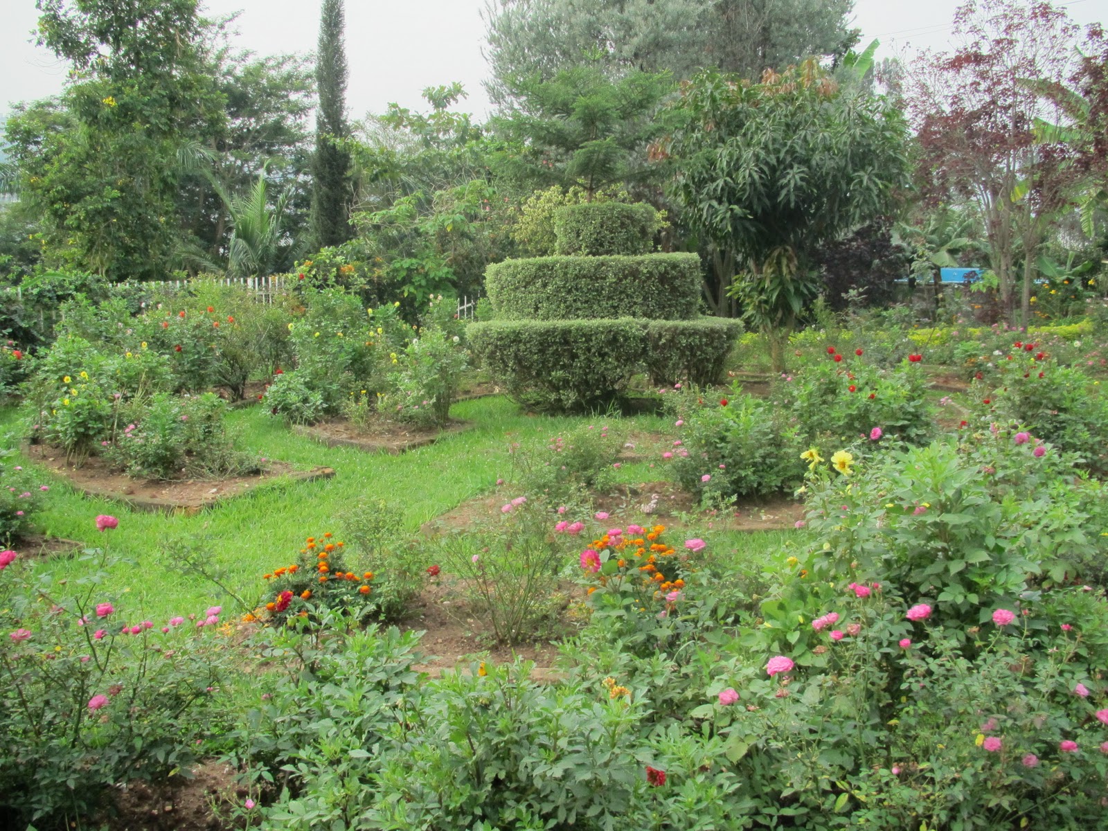 Hilary in Kenya: Rwanda: Kigali & The Genocide Museum