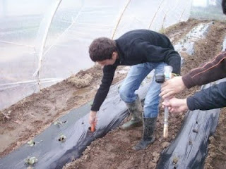 ΕΡΓΑΣΤΗΡΙΟ ΤΟΜΕΑ ΓΕΩΠΟΝΙΑΣ ΤΡΟΦΙΜΩΝ & ΠΕΡΙΒΑΛΛΟΝΤΟΣ: ΤΟΠΟΘΕΤΗΣΗ ...