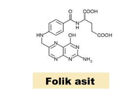 Folik asit | asitbaz.org