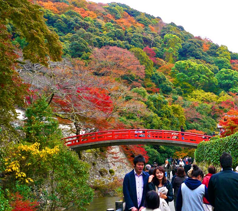 hotel kinki: Visit Minoh in November