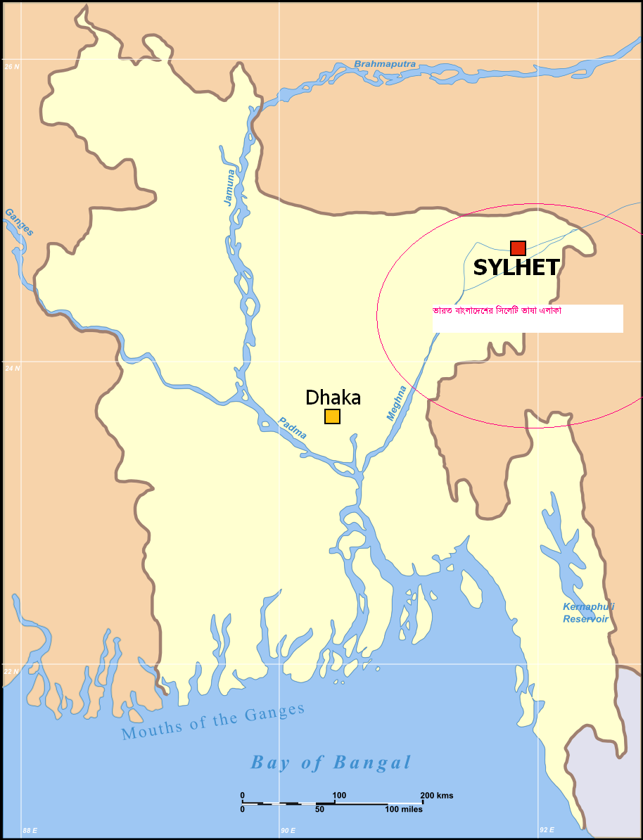 অসমিয়া ভাষা, সিলেটি উপভাষা এবং অসমে ভাষাচর্চার রূপরেখা