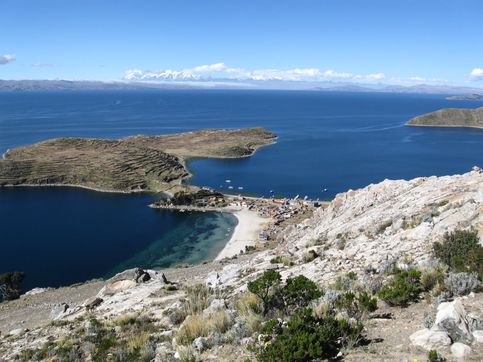 Eagle Connection: Lake Titicaca