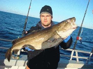 Narragansett Bay Fishing: Winter Cod Fishing is hot
