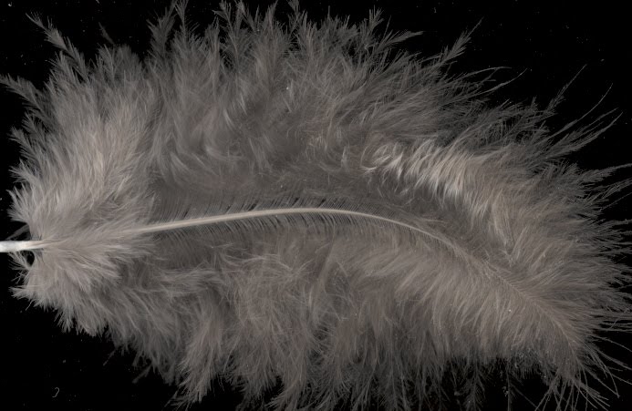 Sara's Colorwave Blog: SOFT THINGS