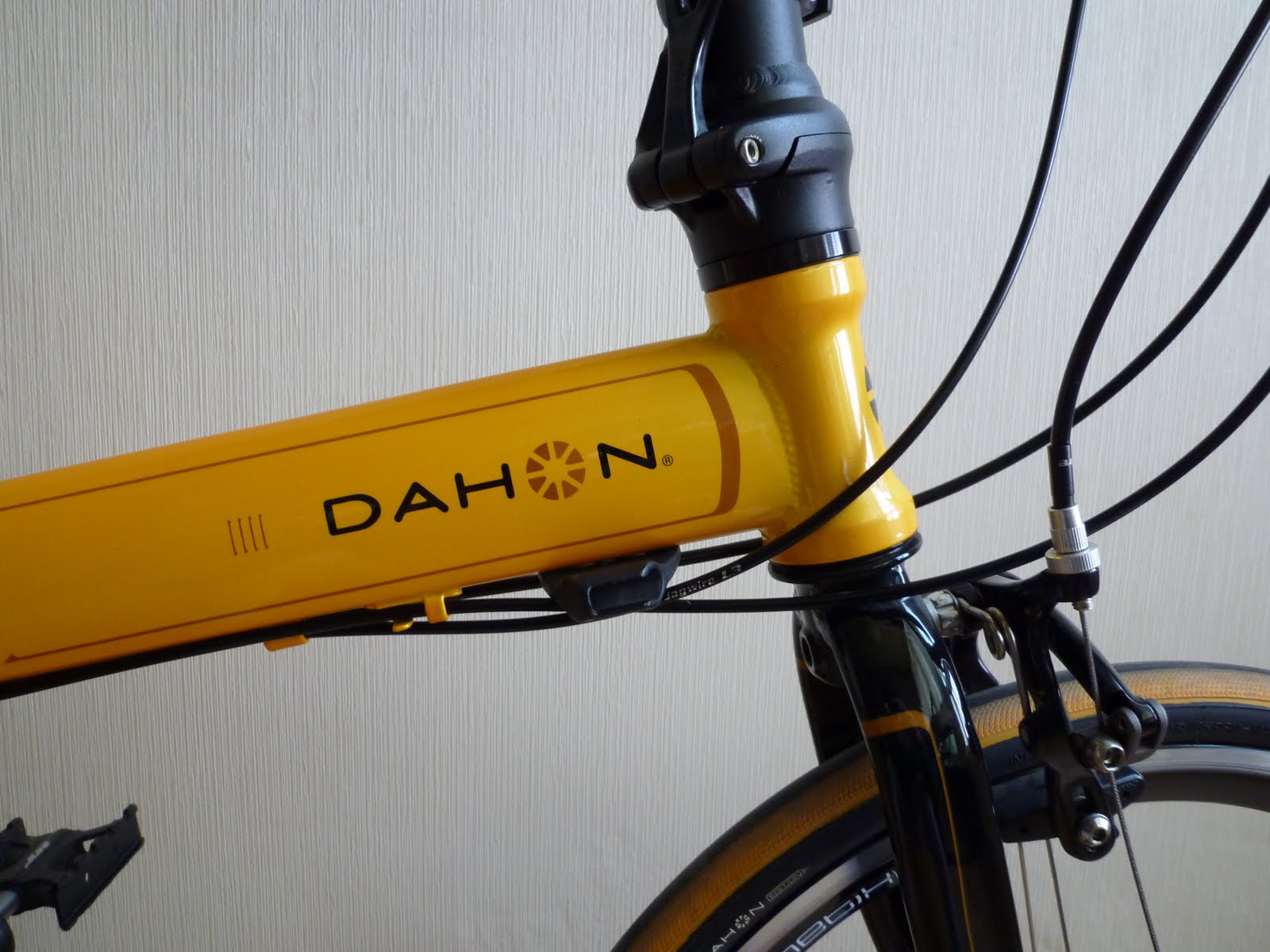 萌える!!! 燃える!!!: DAHON SPEED PRO TT