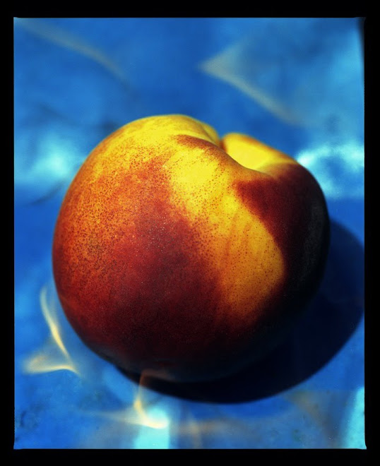 Beyond the Limits of Reason: Nuclear Mao Peach Flower (digital collage)