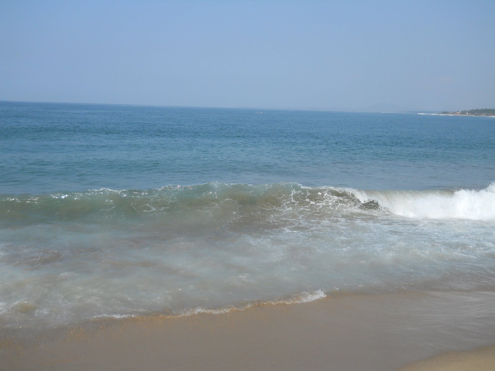 Cuernavaca Summer 2010: La playa