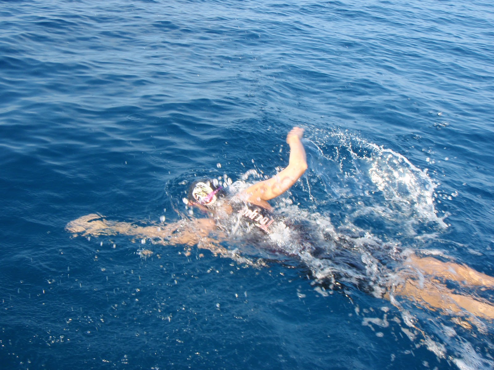 Caroline Gregory: Swim, Swam, Swum