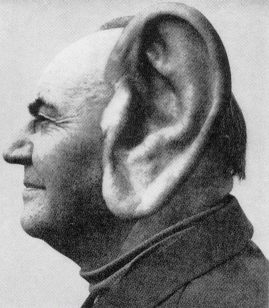 DICCIONARIO CORDOBÉS DE APODOS