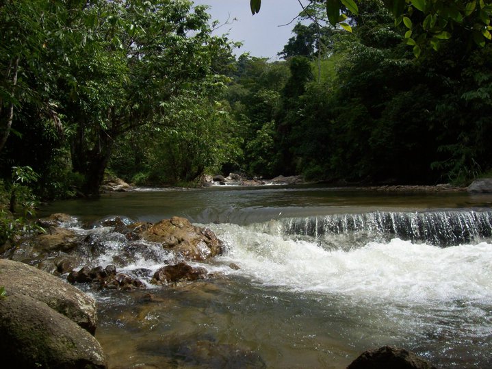 Raub Dulu, Kini Dan Selamanya: Lata Lembik