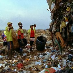 Strange Culture: Waste Land