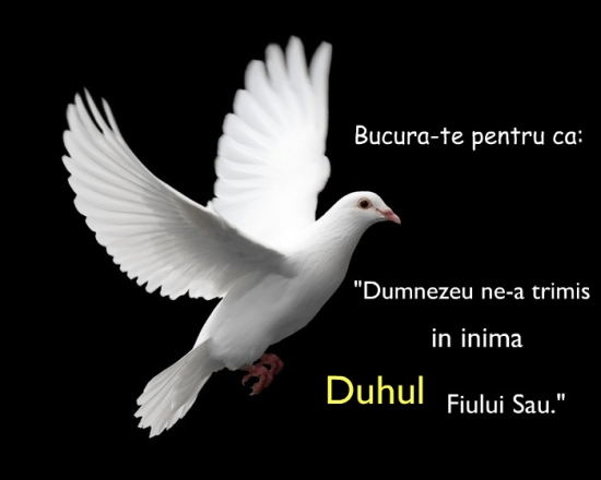 Amandoi Isuse pe calea mantuirii mele!: Imagini crestine