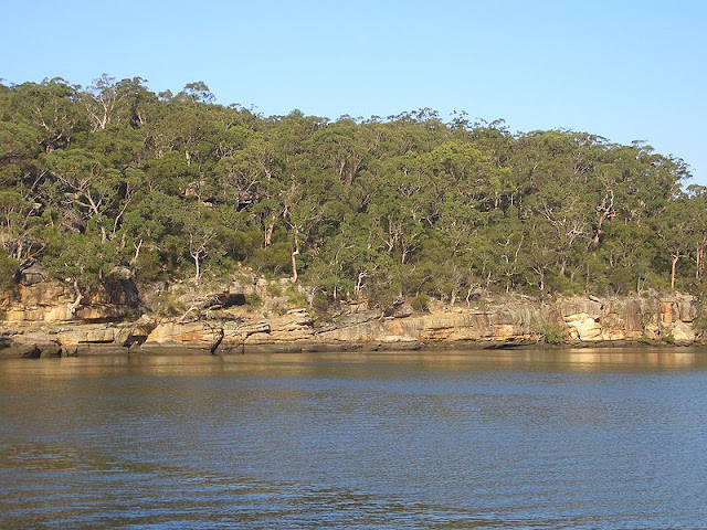 Sydney - City and Suburbs: Picnic Point, Georges River National Park