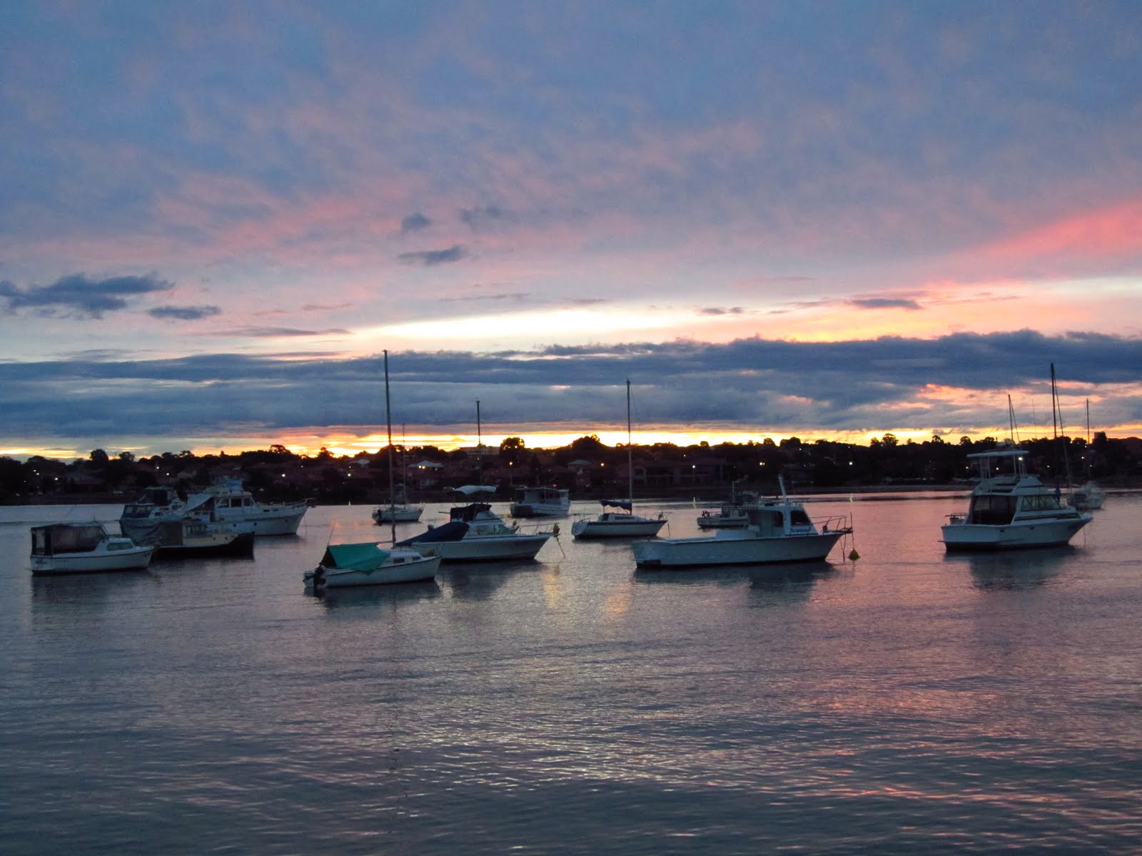 Sydney - City and Suburbs: Rodd Point, Iron Cove