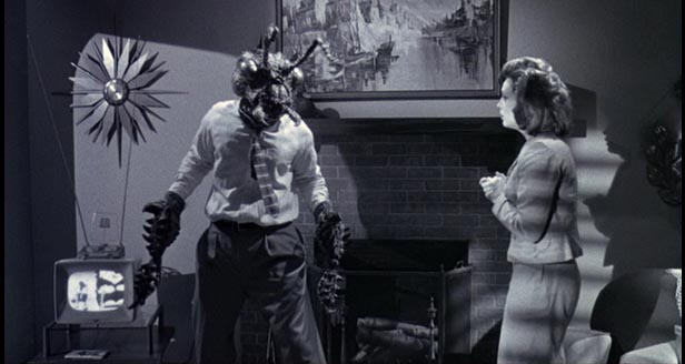 The Haunted Closet: Mant and Mosquito!