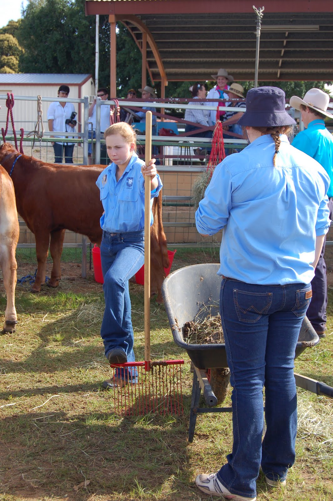 BTC Blog: Cattle Club Representation at Charters Towers Show