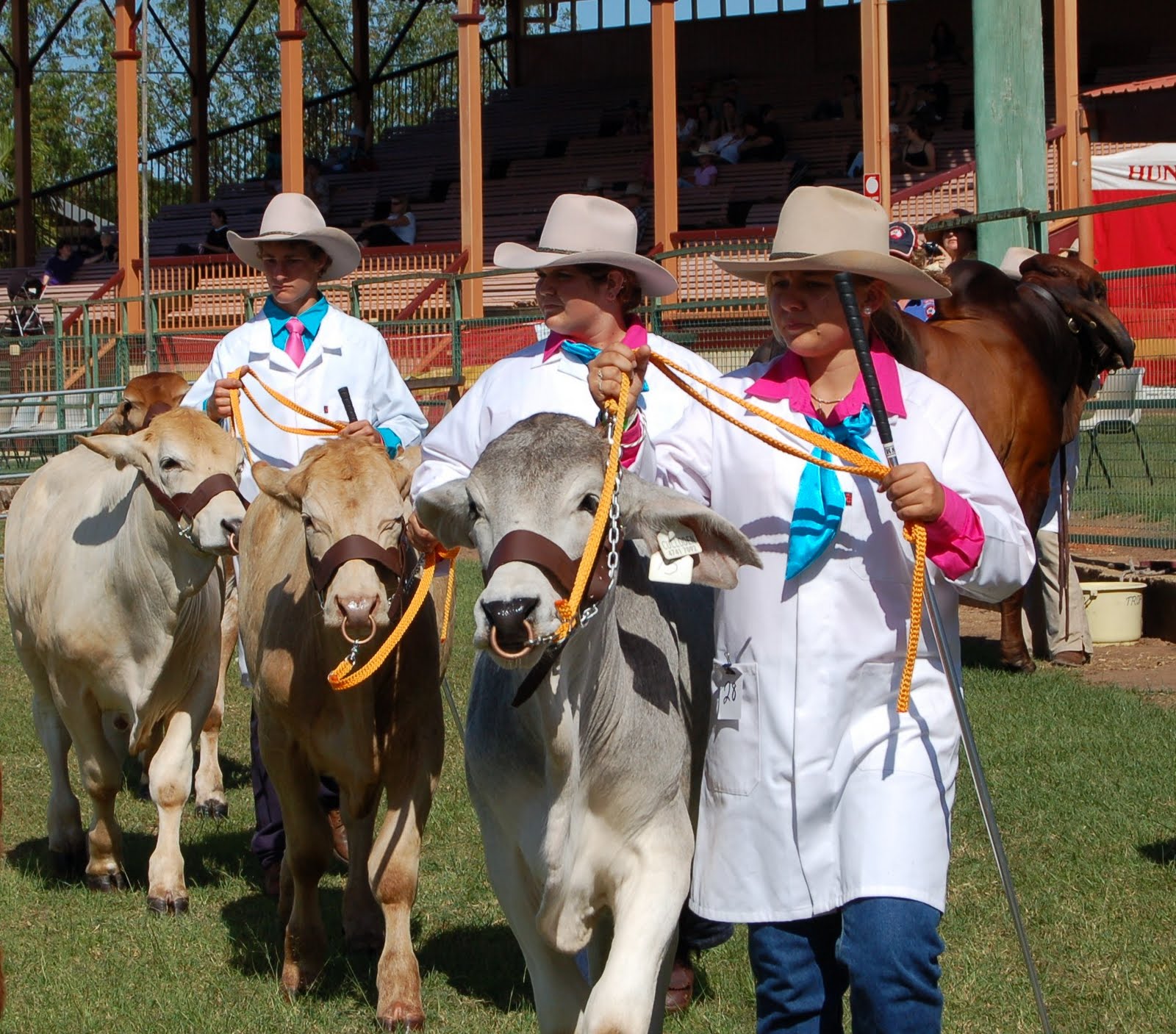 BTC Blog: Cattle Club Representation at Charters Towers Show