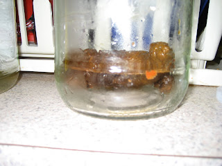 W. PIERCE: poop in a jar?