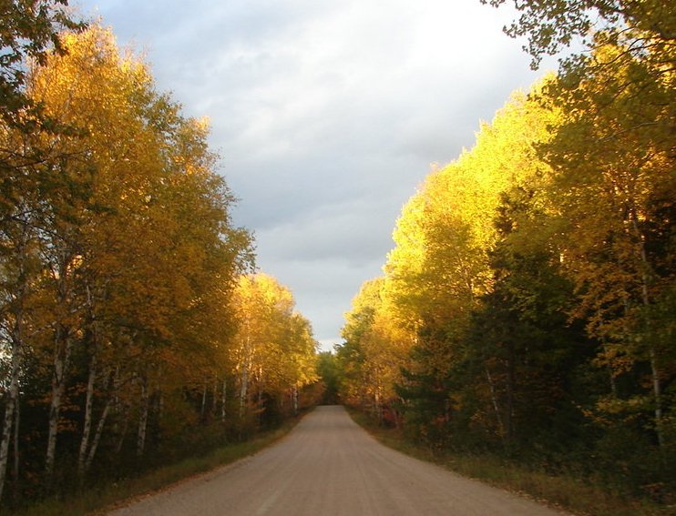 Imagination in Focus: Mercy Falls, MN (?)