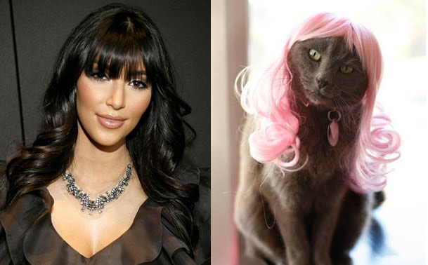 Catsparella: The Cats of Keeping Up with the Kardashians