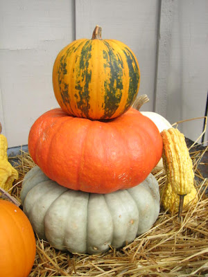 Mimi-Toria's Designs: Exotic Pumpkin Patch