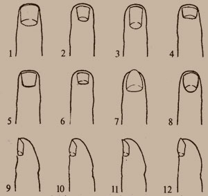 PETECITO: La teoría de las uñas.