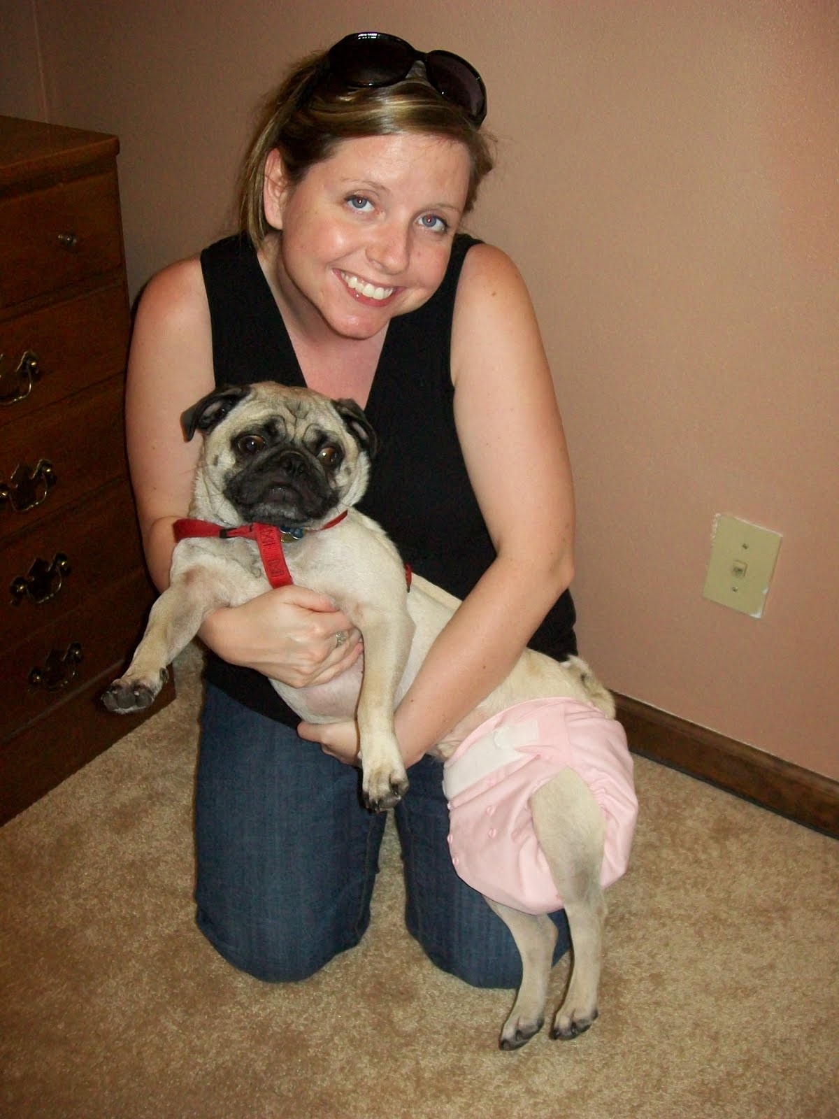 The Life of a Domestique Goddess: If you can diaper a pug...