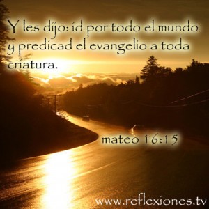 El Arte del Repujado: La Rectitud como valor