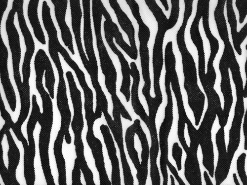 Imágenes de Animal Print cebra - Imagui