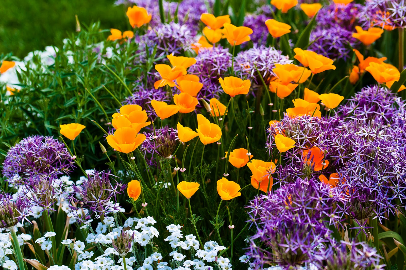 Pink Posey Design: Bright and Colorful Spring Garden Wedding