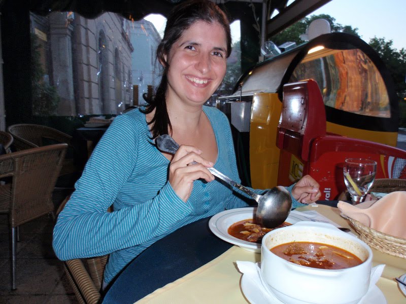 Los viajes de David y Neus: HUNGRÍA 2: parque nacional de Matrai y Hollókő