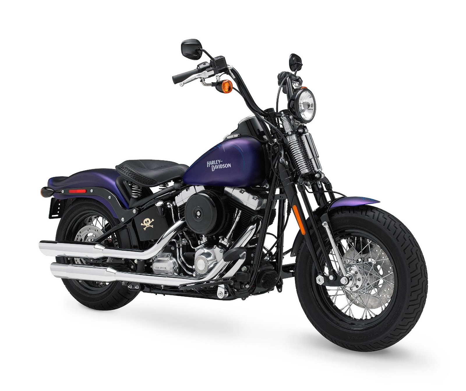 jaran goyang: 2010 Harley-Davidson Cross