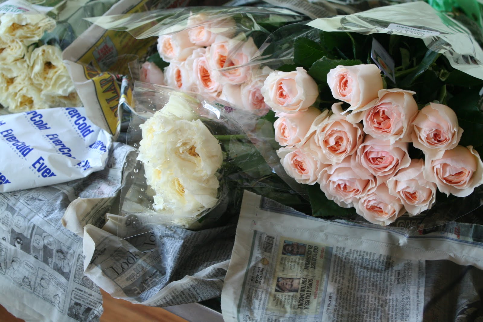 Garden Bytes from the Big Apple: REAL ROSES