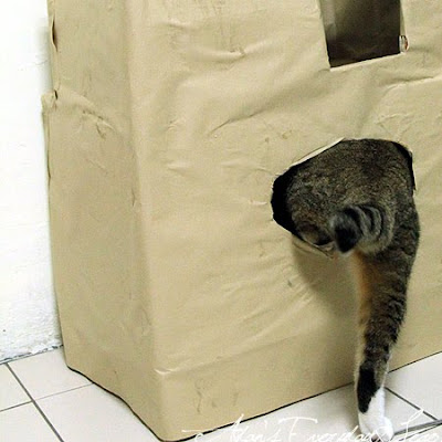 Adan's Everyday: 手做貓城堡；Hand made cat castle